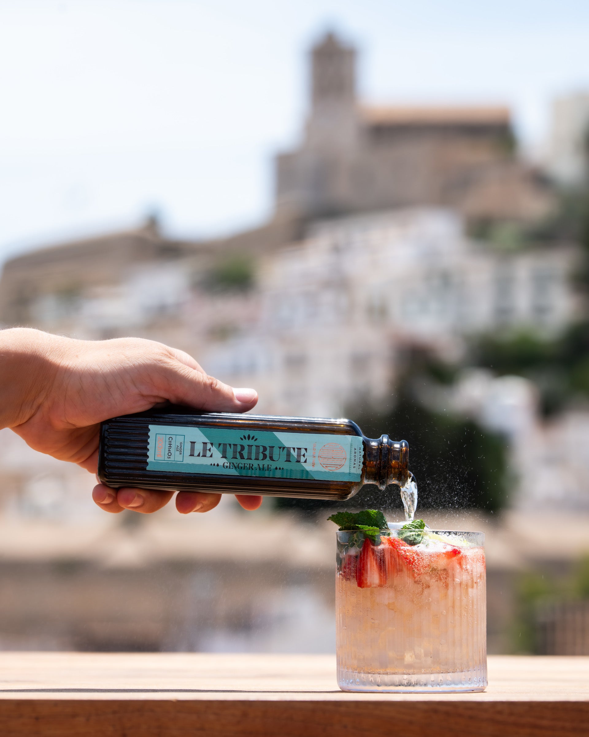 LE Tribute | Spanish Crafted Gin & Premium Mixers – Le Tribute